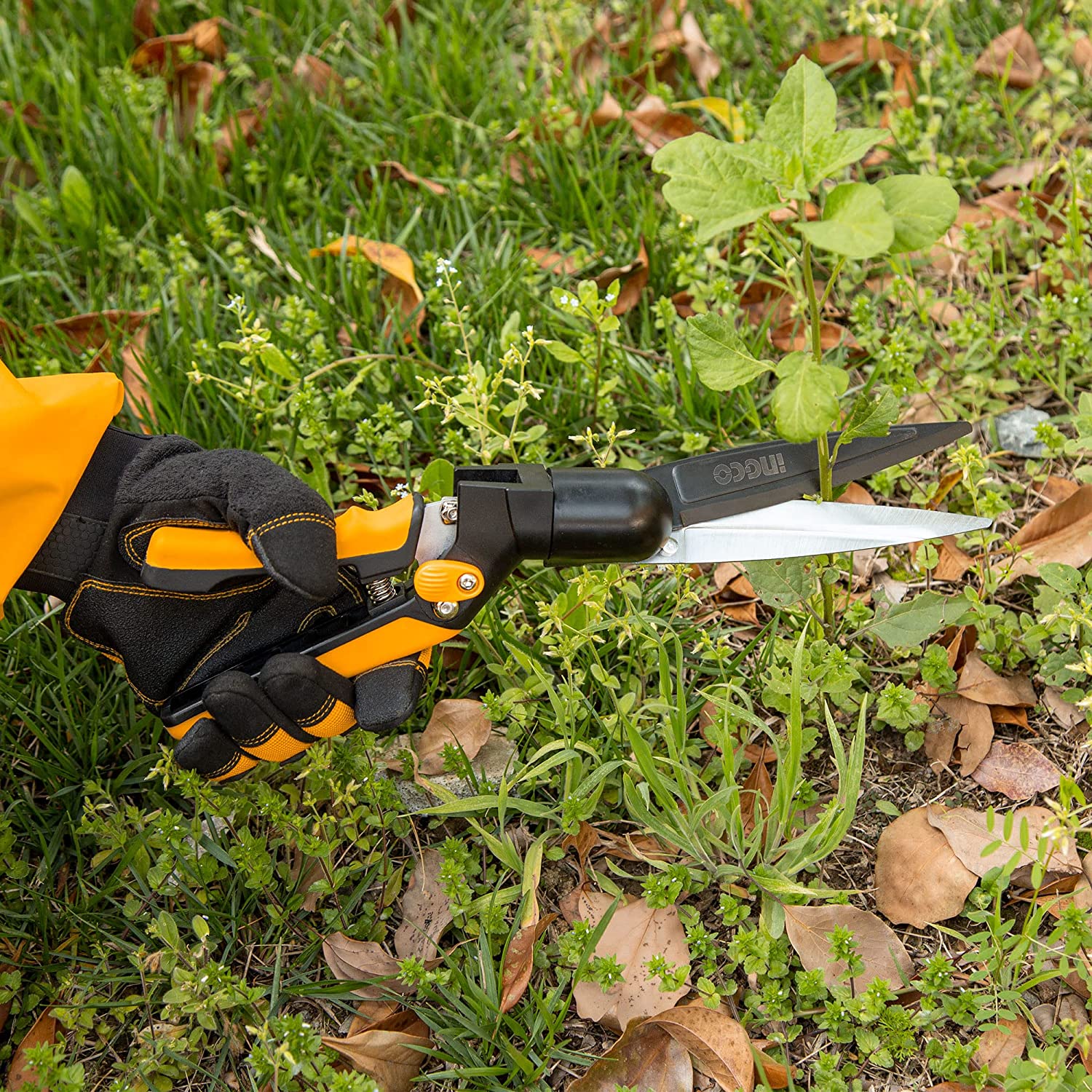INGCO INGCO Tools & Grass Shear